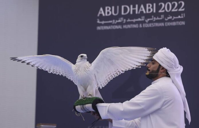 Rare 'Pure-White' Falcon Sells for AED 1 Mn At Abu Dhabi Hunting ...