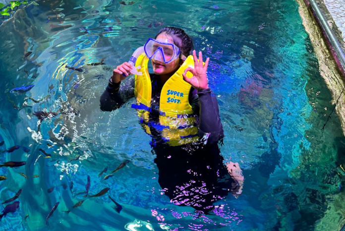 Go Snorkelling In The World's Largest Freshwater Cichlid Aquarium In ...