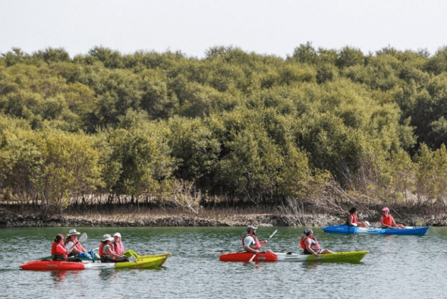 Have You Visited These 13 Stunning Mangroves Around UAE - Gulfbuzz