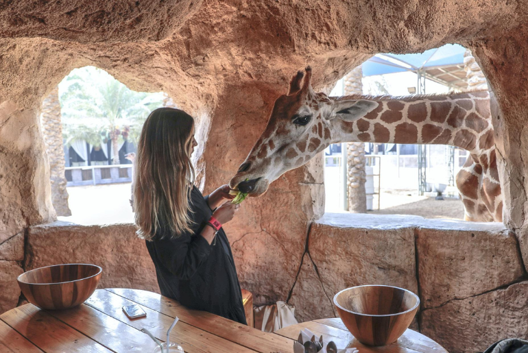 You Can Now Have Breakfast With Giraffes At This Place In Abu Dhabi ...