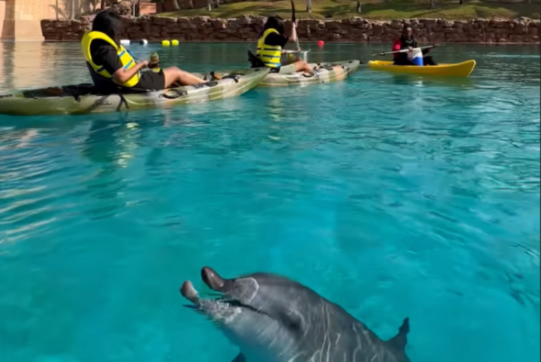5 Things You Can Do At Atlantis, The Palm In Dubai - Gulfbuzz
