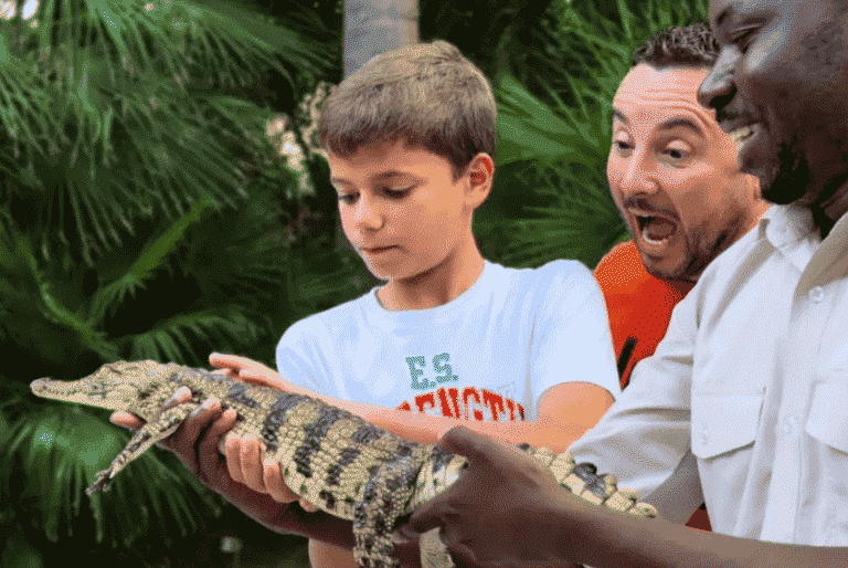 Spring Break Starts Soon! 7 Fun Places To Visit With Kids in the UAE ...